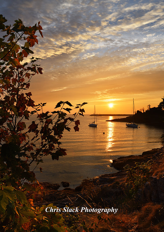 Brixham – Chris Slack Photography