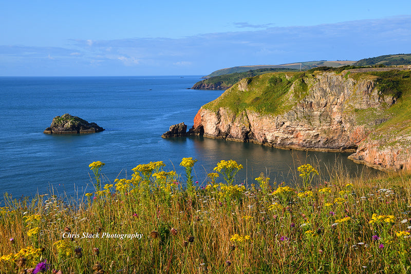 Brixham – Chris Slack Photography